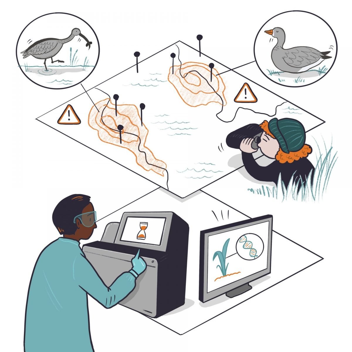 Illustrating the ECHOES project - ECHOES Project