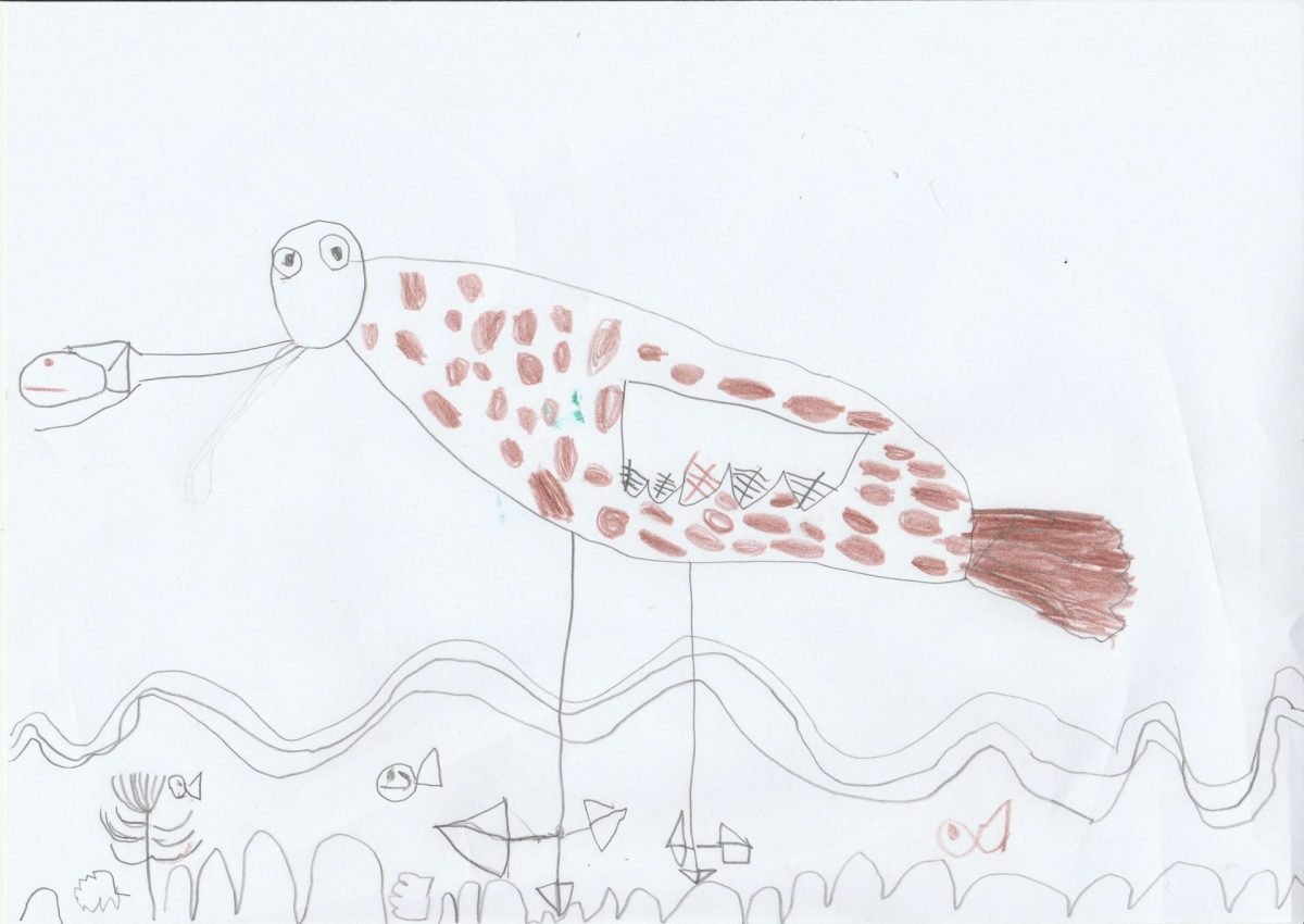 Draw a Curlew Competition: Entries 2021 - ECHOES Project