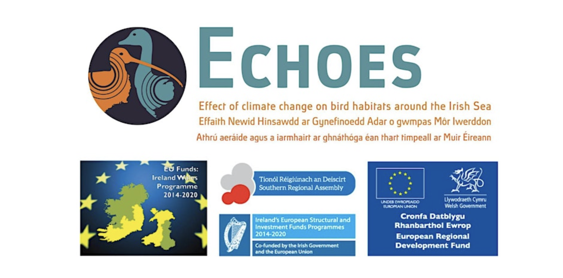 Online Event - ECHOES Project: Results and Reflections - ECHOES Project